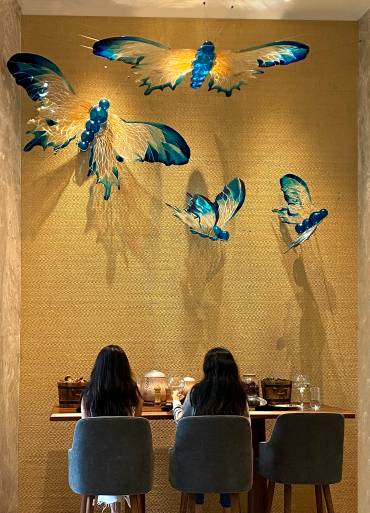 The Butterfly Effect – Rhea Mehta